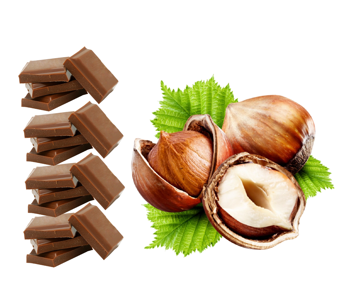 Chocolat / Noisette - SOPAGLACE MAÎTRE ARTISAN GLACIER