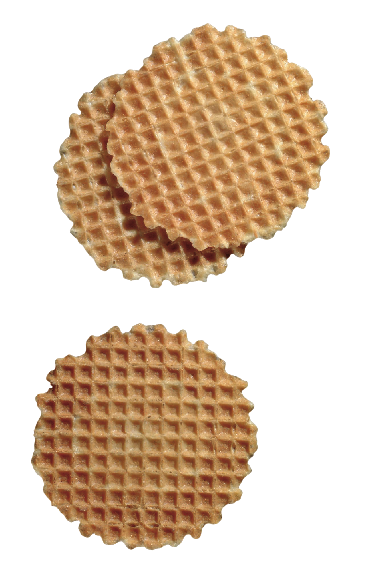 Biscuit Rond Gaufrés - SOPAGLACE MAÎTRE ARTISAN GLACIER